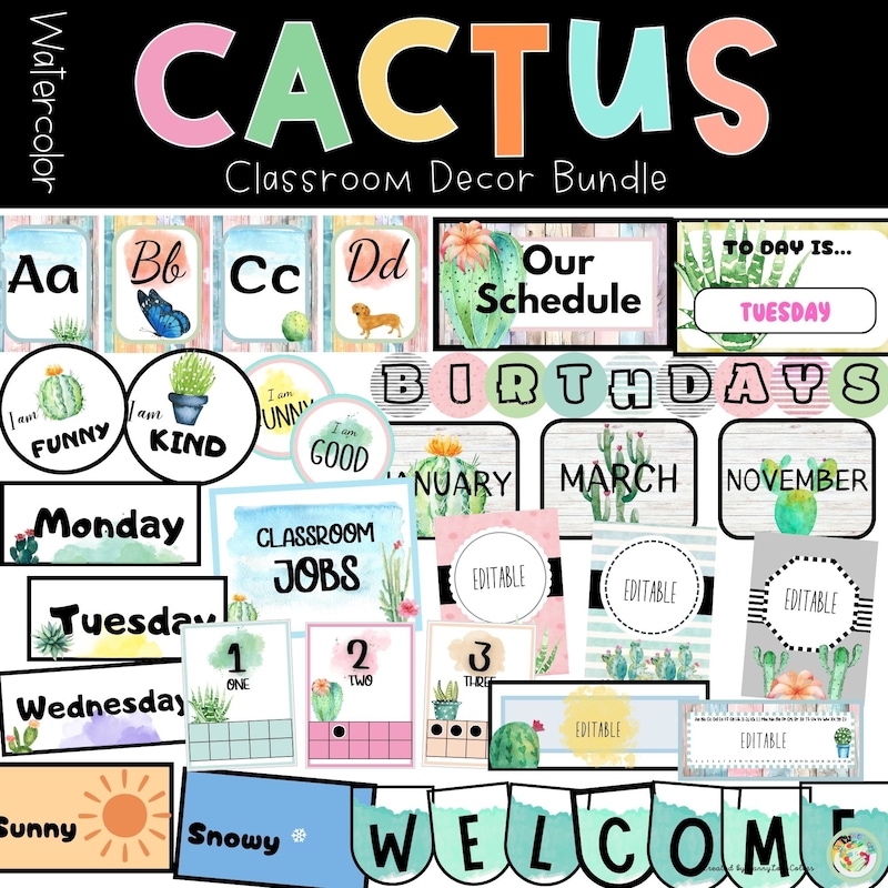 Classroom Cactus - Etsy
