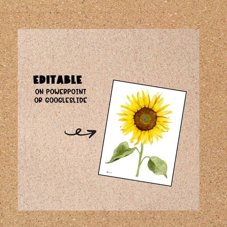 Spring Sunflower Classroom Bulletin Board Decor (printable, Editable ...