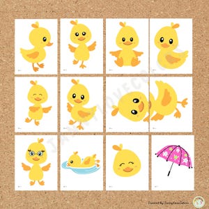 Duck Spring Bulletin Board Kit: Editable Classroom Decor (printable) - Etsy