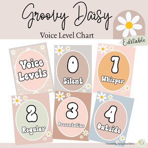 Daisy Classroom Decor Bundle: Groovy Retro Theme (printable, Editable ...