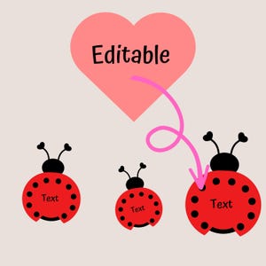 Love Bug Valentine's Day Bulletin Board Decor (editable, PDF) - Etsy