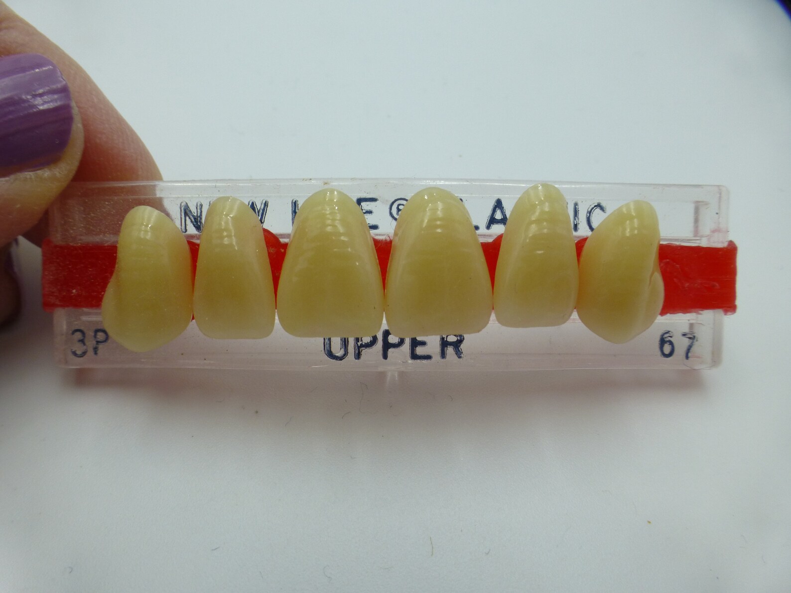 Vintage 1950s Celluloid Dentist's Model Teeth, Wonderfully Unusual ...