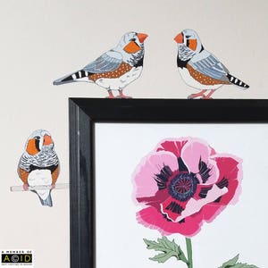 Zebra Finch Light Switch Decal, Bird Wall Sticker, Australian Bird ...