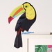 Toucan Wall Decals - Etsy