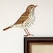 Song Thrush Wall Decal, Bird Wall Sticker, Bird Decal, Bird Decor, Bird ...