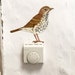 Song Thrush Wall Decal, Bird Wall Sticker, Bird Decal, Bird Decor, Bird ...