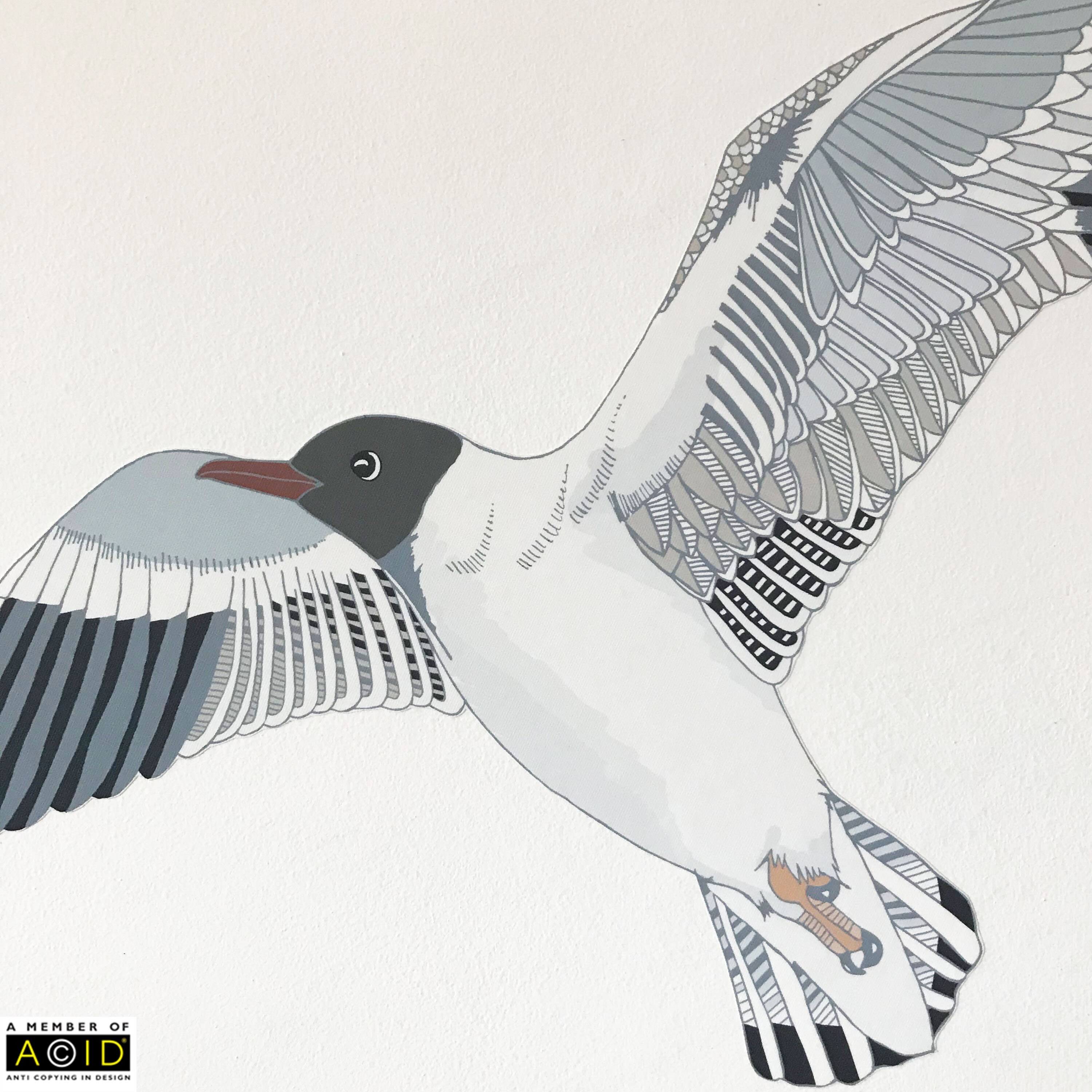 Gull Wall Sticker Set Nautical Wall Decals Flying Seagull - Etsy UK