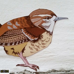 Wren Wall Decal, Woodland Wall Sticker, Kitchen Farmhouse Decor - Etsy UK