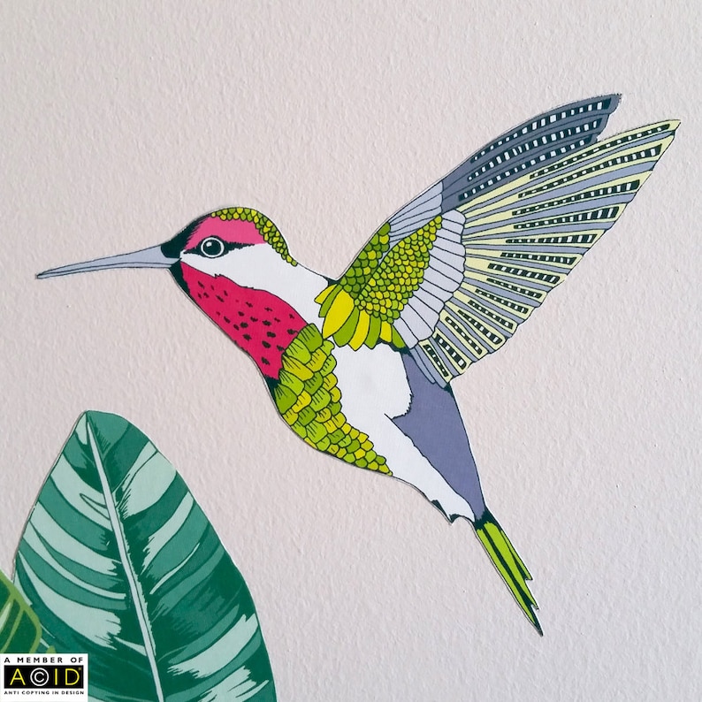 Hummingbird Wall Stickers, Bird Wall Decals - Etsy UK