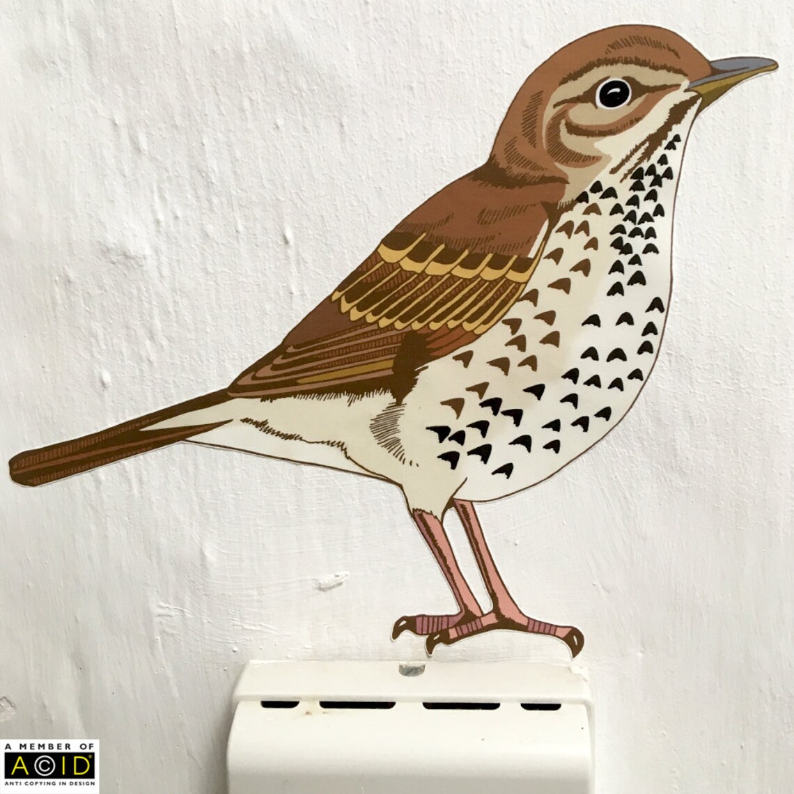 Song Thrush Wall Decal, Bird Wall Sticker, Bird Decal, Bird Decor, Bird ...