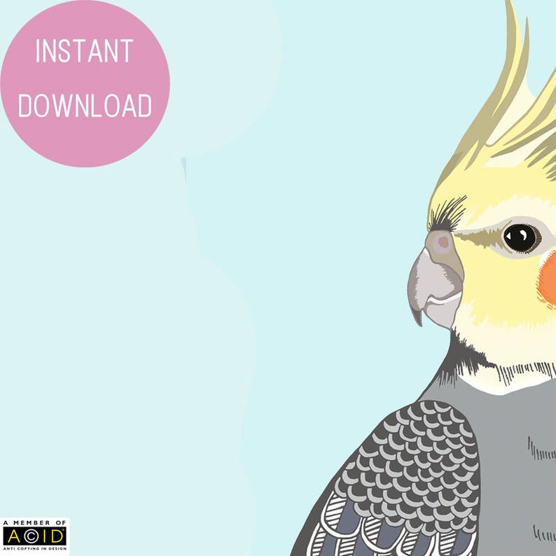 Nursery Art Print Cockatiel Wall Art Art Printable Baby - Etsy UK