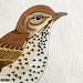 Song Thrush Wall Decal, Bird Wall Sticker, Bird Decal, Bird Decor, Bird ...