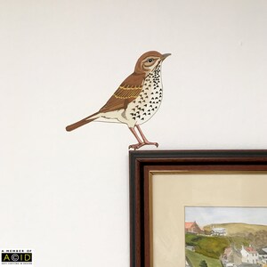 Song Thrush Wall Decal, Bird Wall Sticker, Bird Decal, Bird Decor, Bird ...
