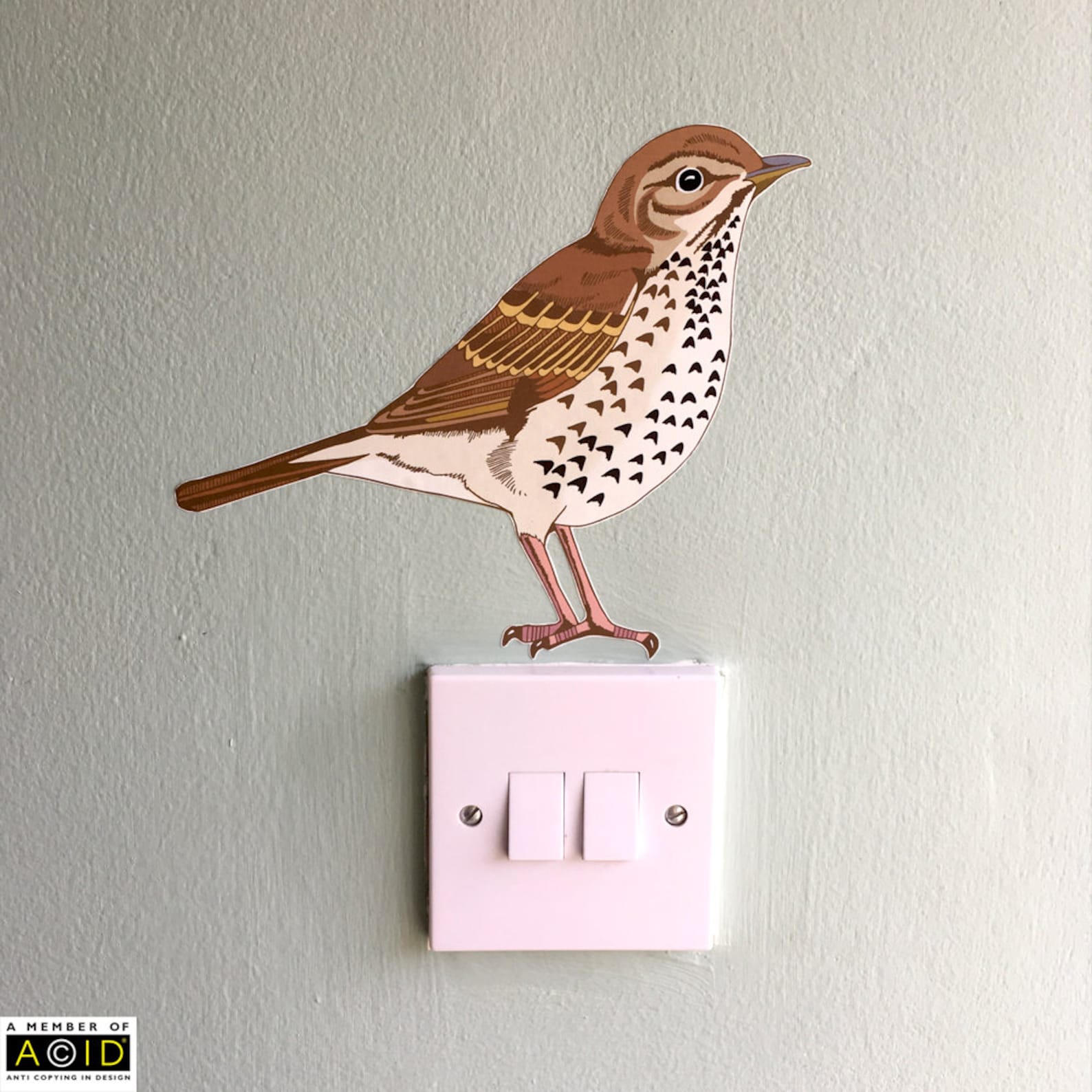 Song Thrush Wall Decal Bird Wall Sticker Bird Decal Bird | Etsy