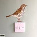 Song Thrush Wall Decal, Bird Wall Sticker, Bird Decal, Bird Decor, Bird ...