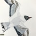 Gull Wall Sticker Set, Nautical Wall Decals, Flying Seagull Wall Art ...