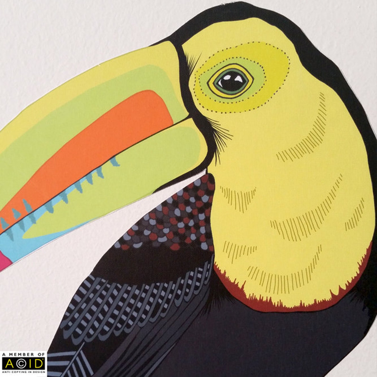 Toucan Wall Decals - Etsy