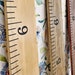 Custom Engraved Wooden Ruler Growth Chart: Six Inch Edition, Measuring ...