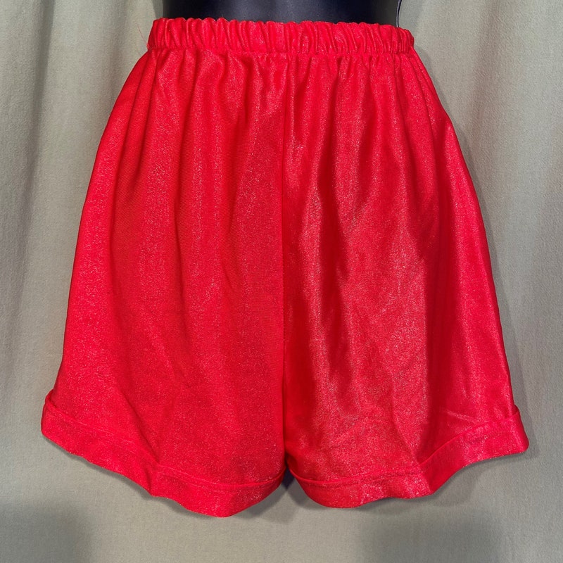 Shiny Nylon Shorts - Etsy