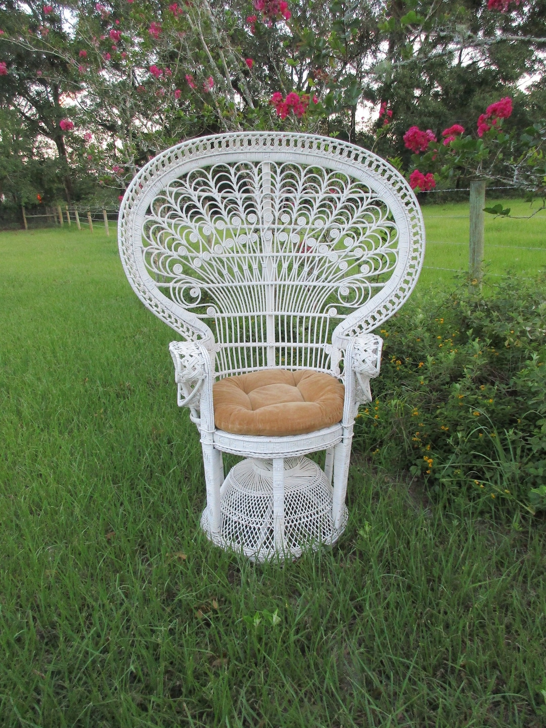 White Wicker Peacock Chair Fan Back Chair Rattan Arm Chair Regal Ornate ...