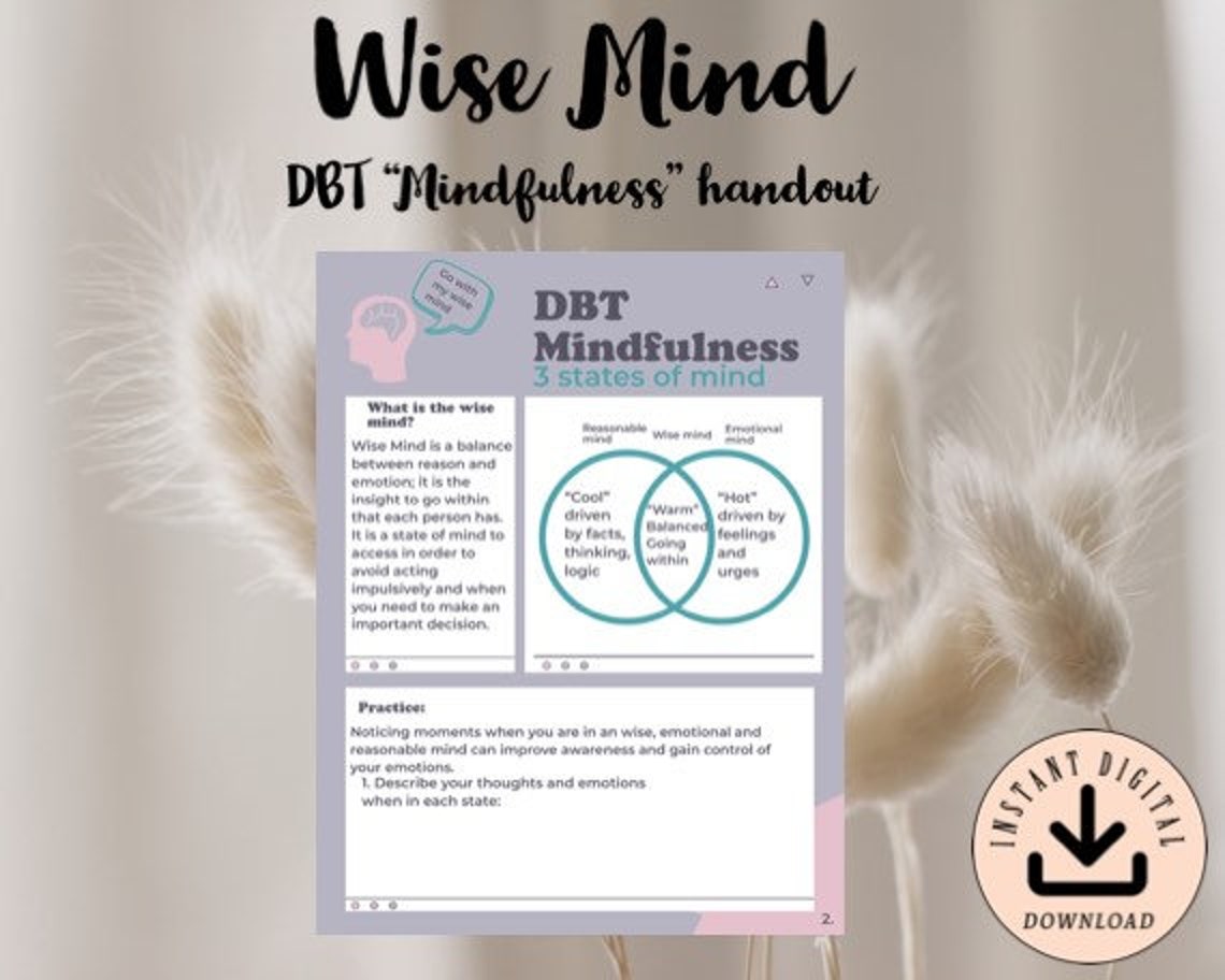 DBT 3 States of Mind Worksheet Dialectical Behavior Therapy - Etsy