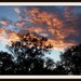 Sunset Photography, 8x10 Landscape Photo, Rustic Wall Art, Farm House ...
