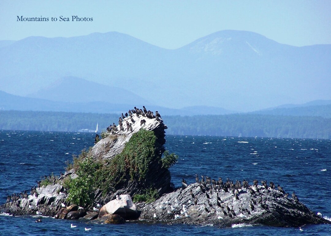 Lake Champlain 5x7 Print, New England Small Photo Print, Rustic Home ...