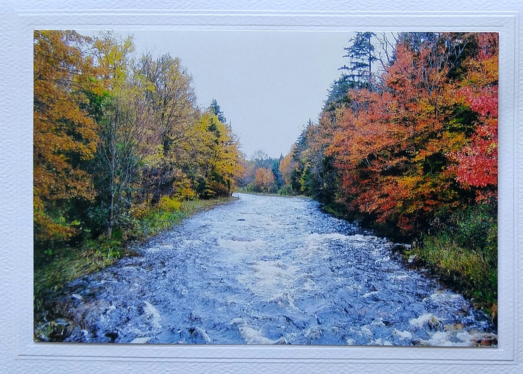 Vermont Photo Note Card, Autumn Card, Best Selling Item, Fall Leaves ...