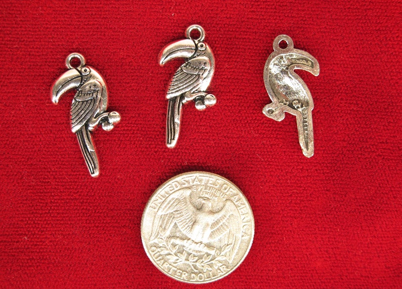 10pc toucan Charms in Antique Silver Style - Etsy