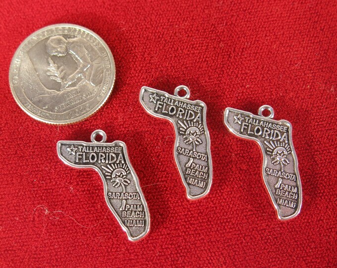 10pc "florida" Charms in Antique Silver (BC1231) - Etsy