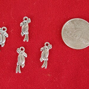 10pc parrot Charms in Antique Silver Style BC1210 - Etsy