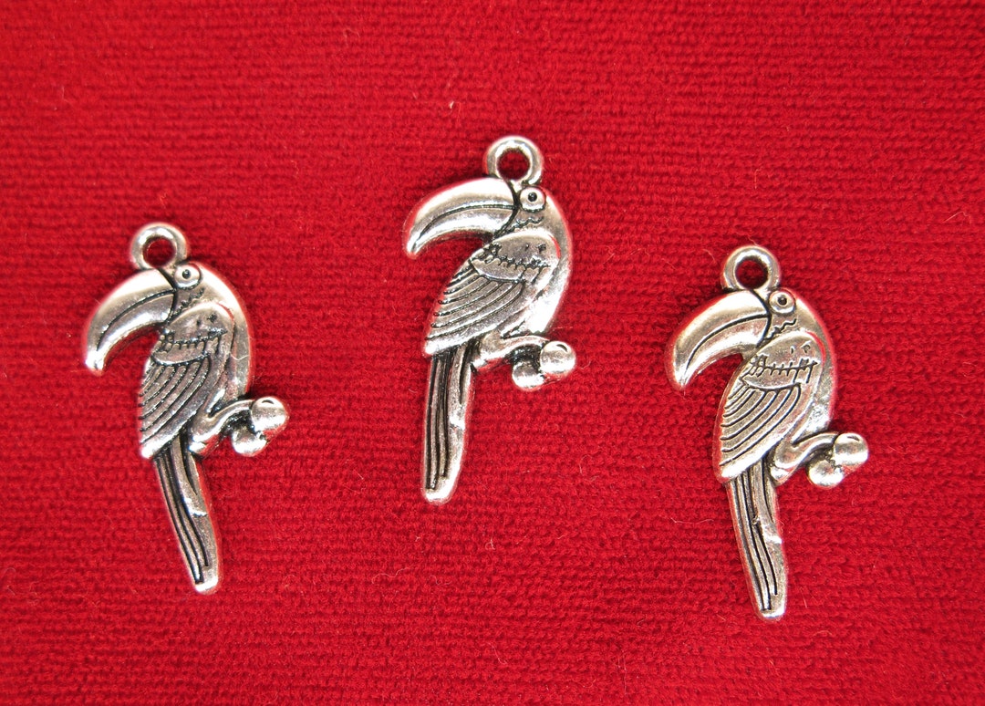 10pc toucan Charms in Antique Silver Style BC1242 - Etsy
