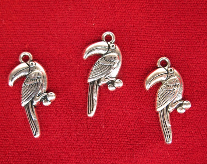 10pc "toucan" Charms in Antique Silver Style (BC1242) - Etsy