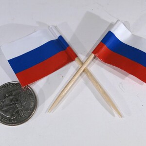 50pc "russia Flag" Tooth Pick / Cake Topper (D55) - Etsy