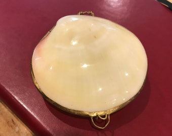 Shell coin purse | Etsy