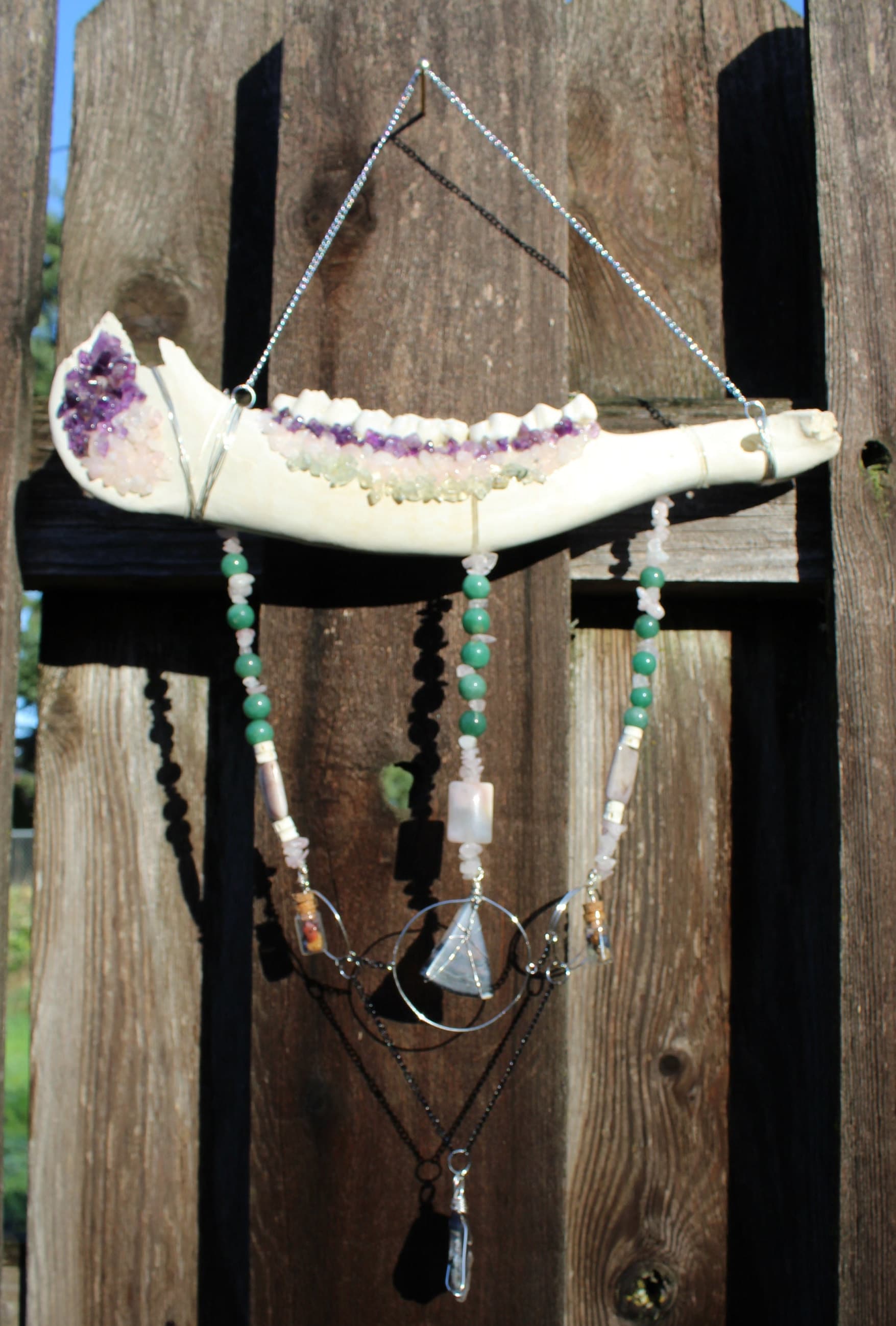 Jaw Bone Wall Décor - Etsy