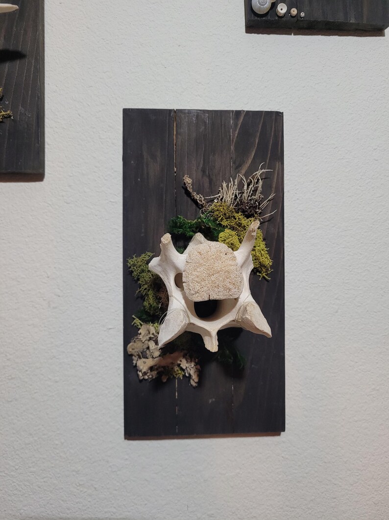 Bone Wall Décor With Dried Flowers - Etsy