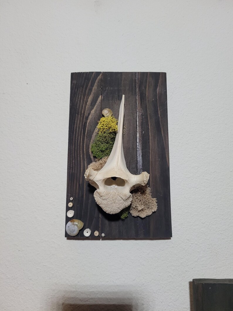 Bone Wall Décor With Dried Flowers - Etsy