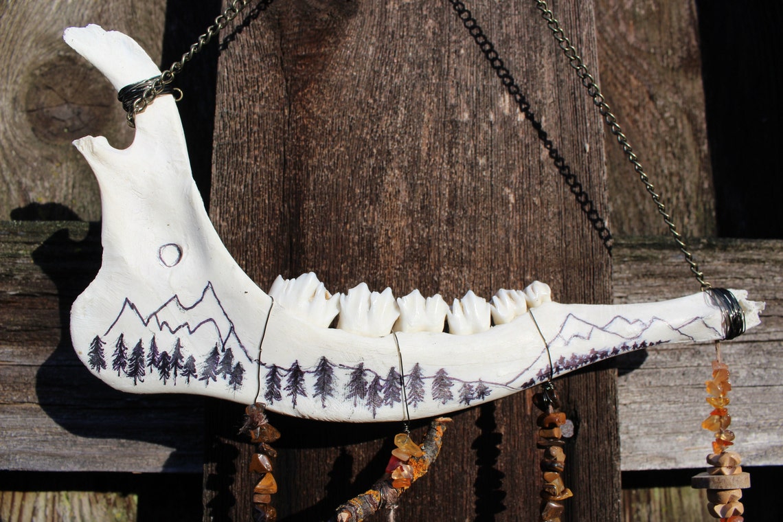 Jaw Bone Wall Hanger With Foraged Finds - Etsy