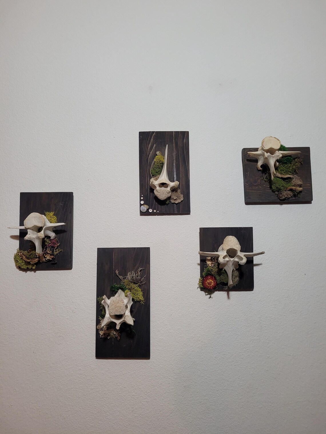 Bone Wall Décor With Dried Flowers - Etsy