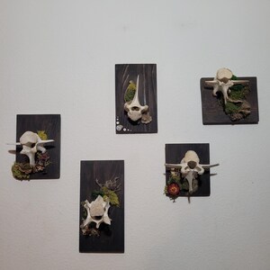 Bone Wall Décor With Dried Flowers - Etsy