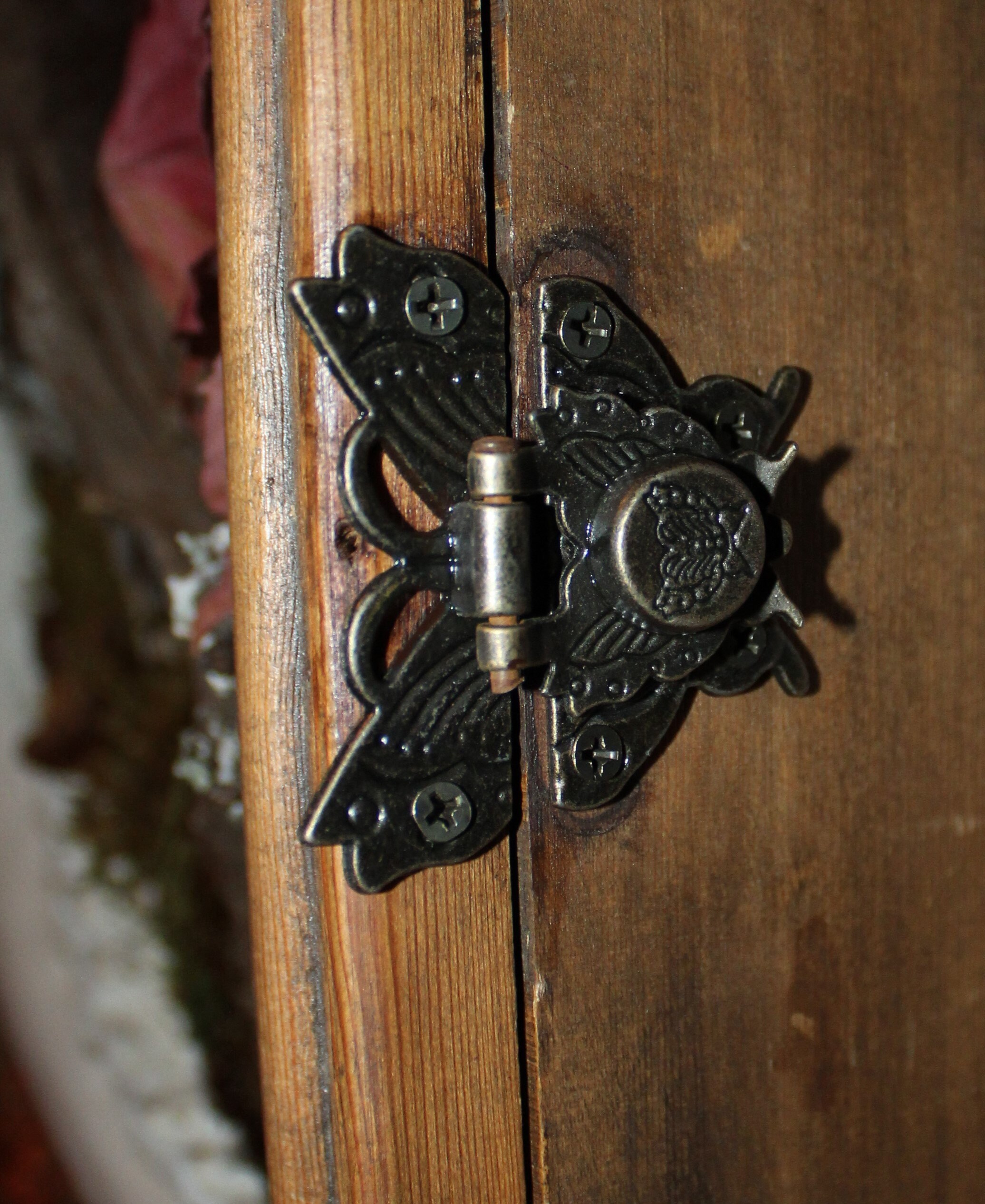 Jaw Bone Shadow Box Wall Display - Etsy