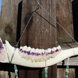 Jaw Bone Wall Décor - Etsy