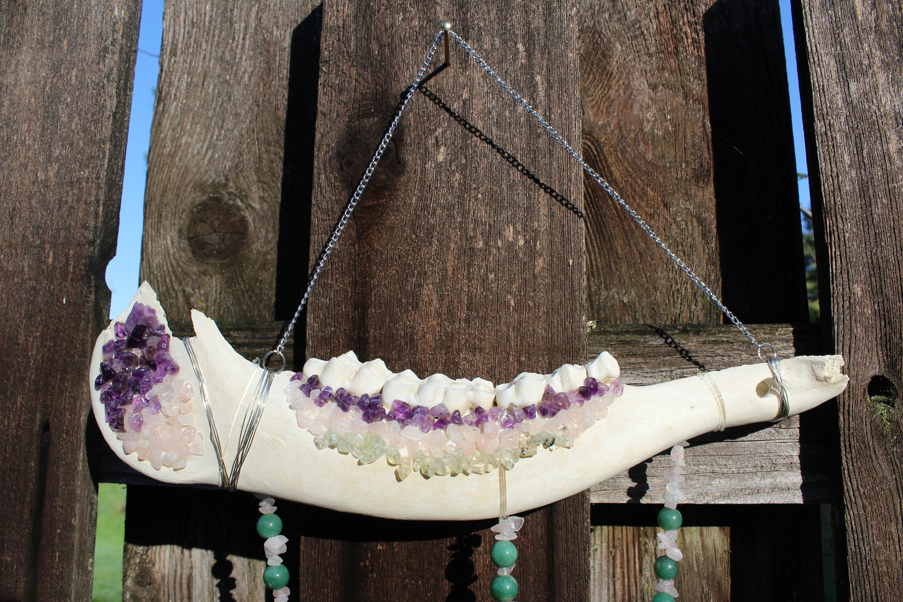 Jaw Bone Wall Décor - Etsy