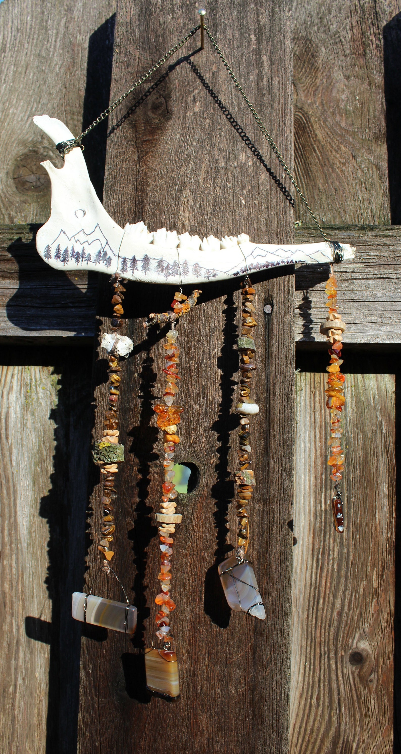 Jaw Bone Wall Hanger With Foraged Finds - Etsy