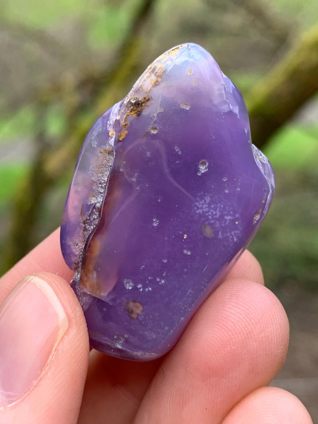 Super Rare Unique Speckled Holly Blue Agate Chalcedony Tumbled Specimen ...
