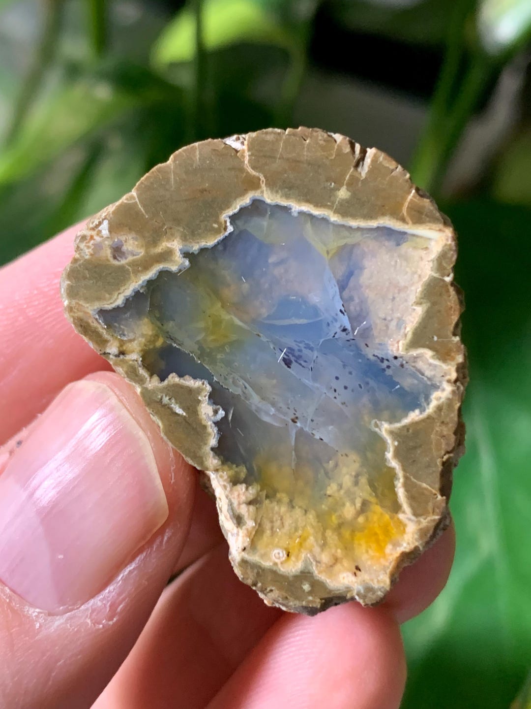 Face Polished Oregon Light Blue Opal Thunderegg Geode - Etsy