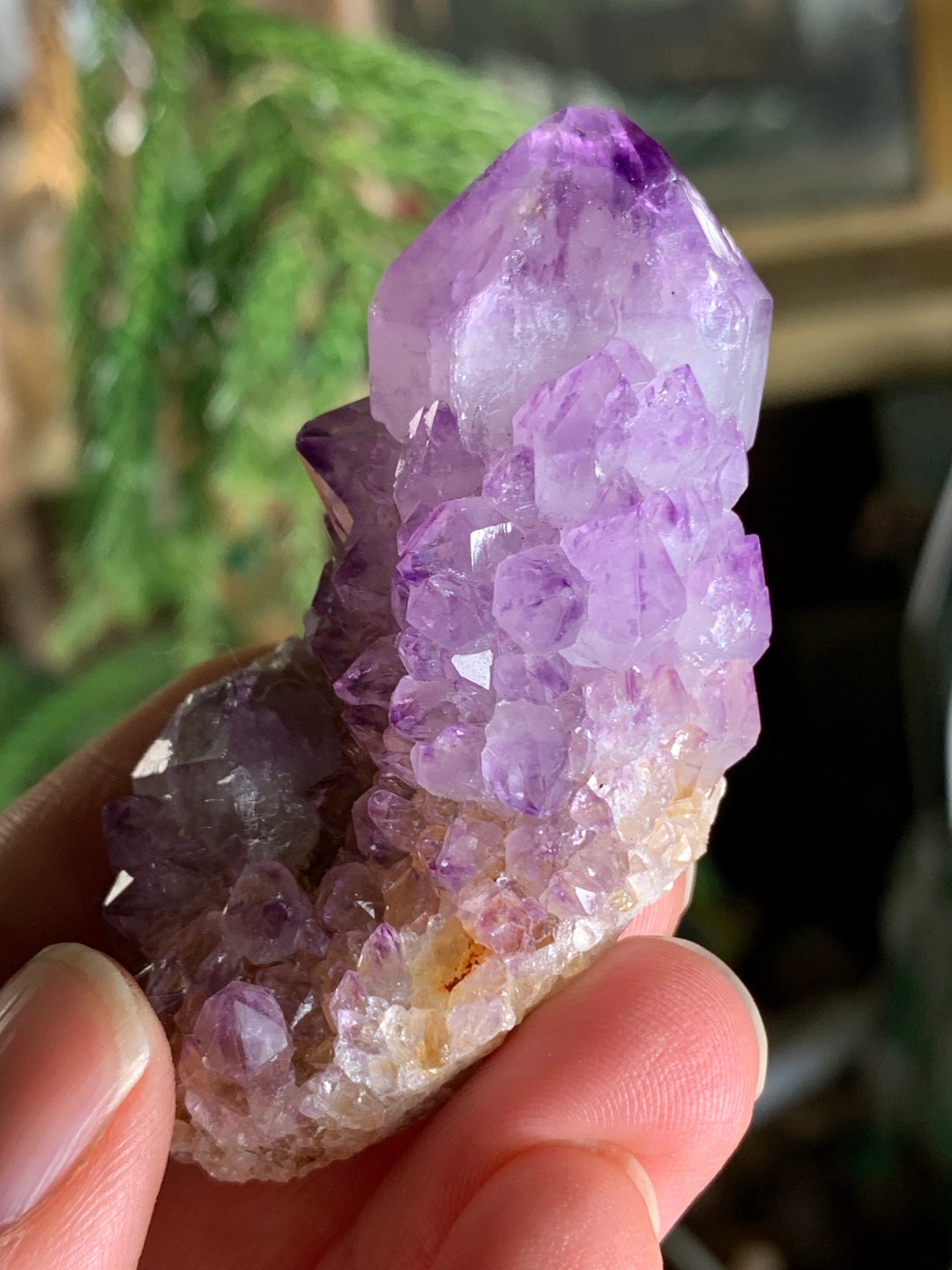 Deep Colored Amethyst Spirit Cactus Quartz Crystal Cluster From South ...