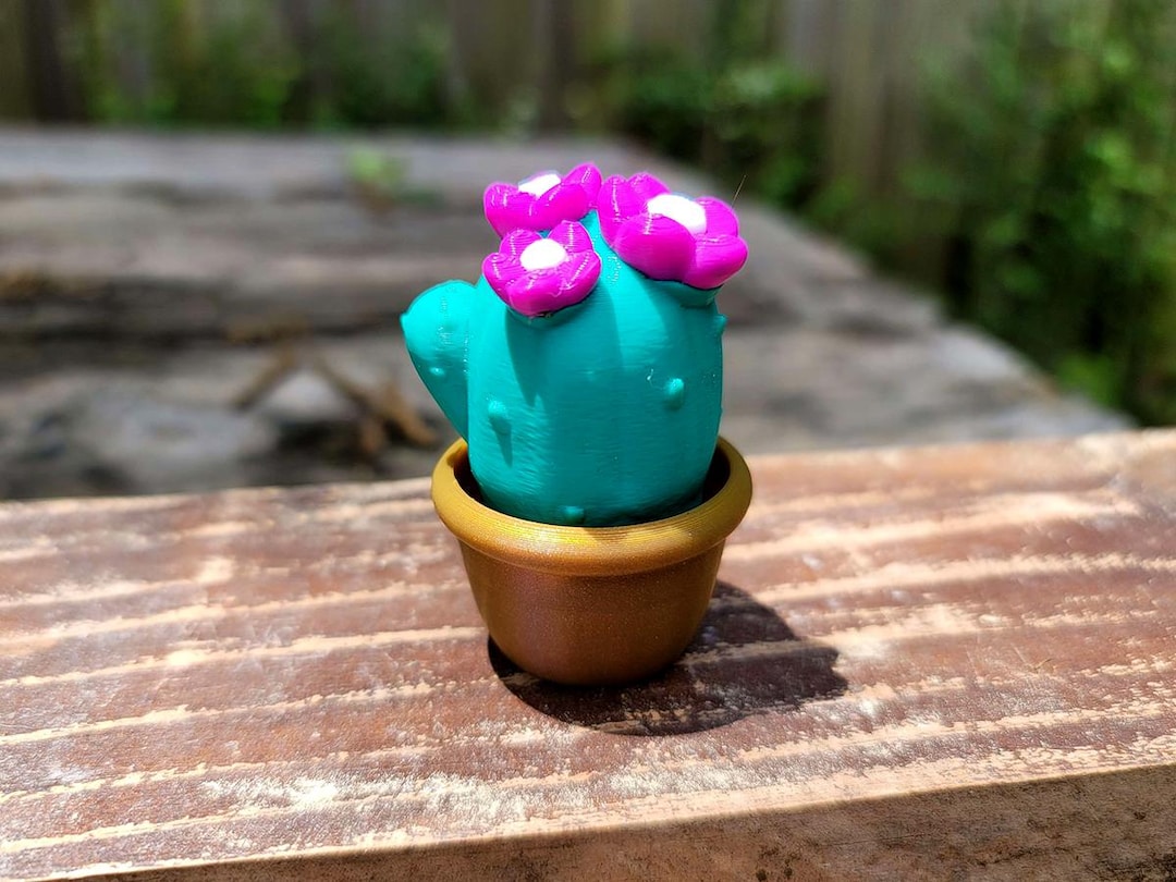 Cactus Clicky Fidget Toy (teal With Pink Flowers) - Etsy