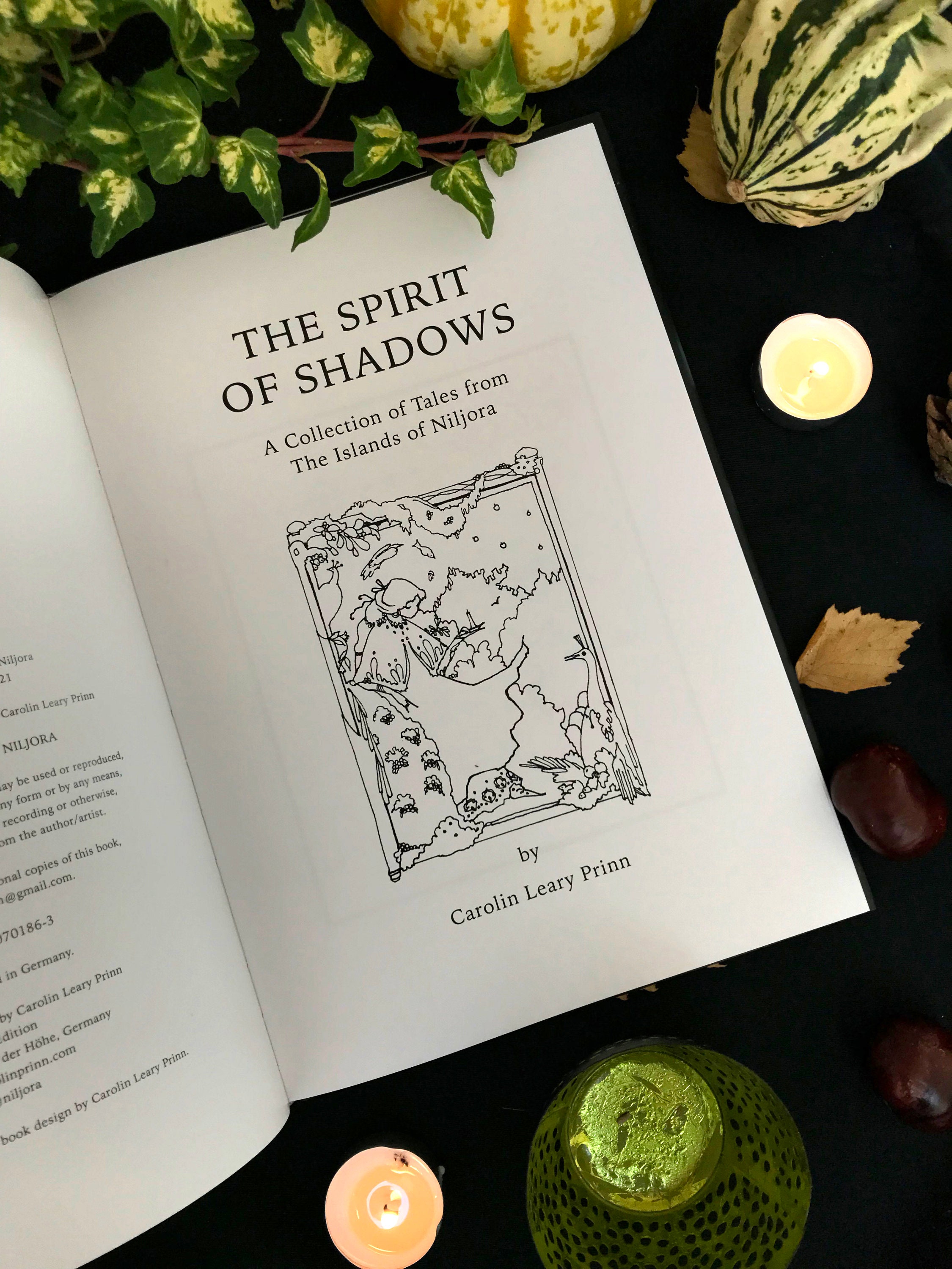 The Spirit of Shadows by Carolin Leary Prinn Book Fairytale - Etsy